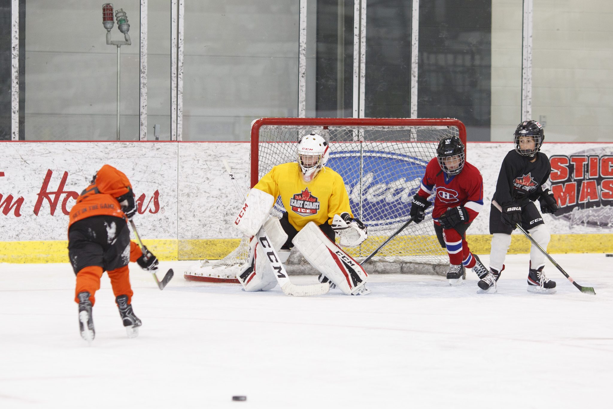 Intro to High-Performance (U11) - PL High Performance Hockey